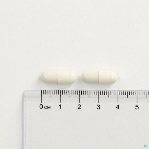 Cogniton Focus | 60 capsules | PharmaMarket
